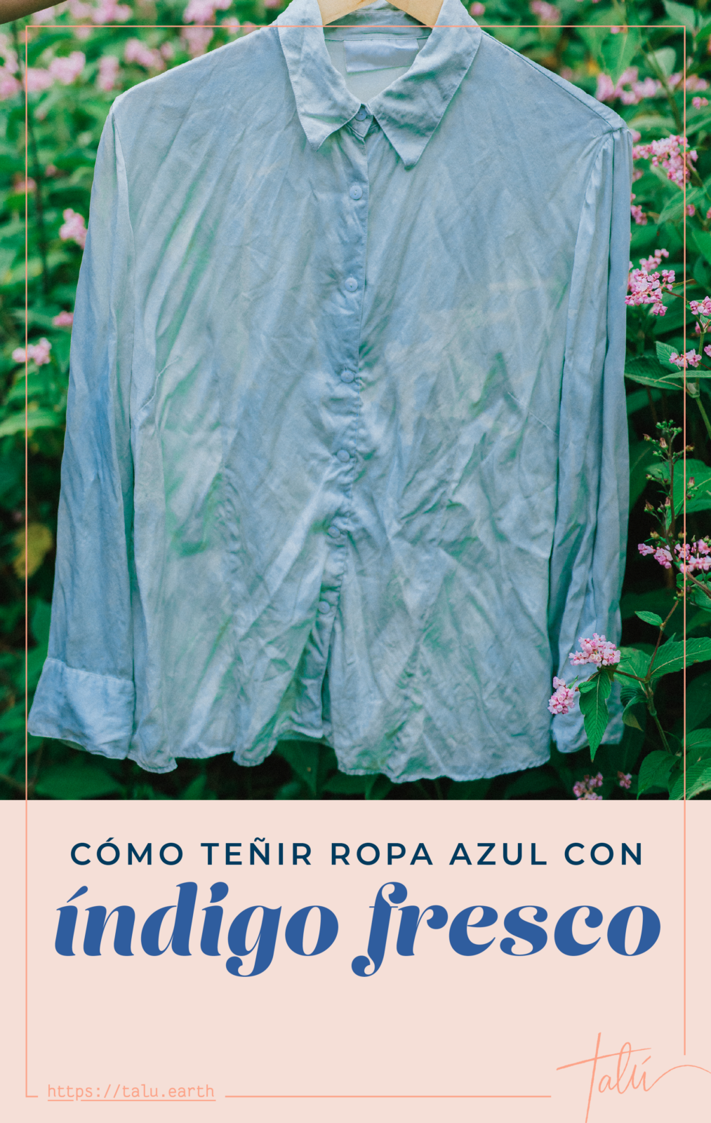 Como teñir ropa azul con índigo fresco - T A L Ú