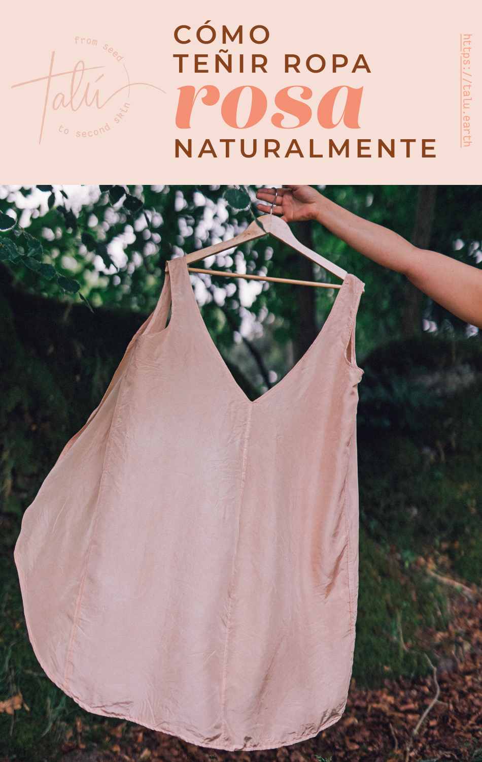 Cómo teñir con aguacate y crear color rosa - T A L Ú Cómo teñir con aguacate y crear color rosa - T A L Ú