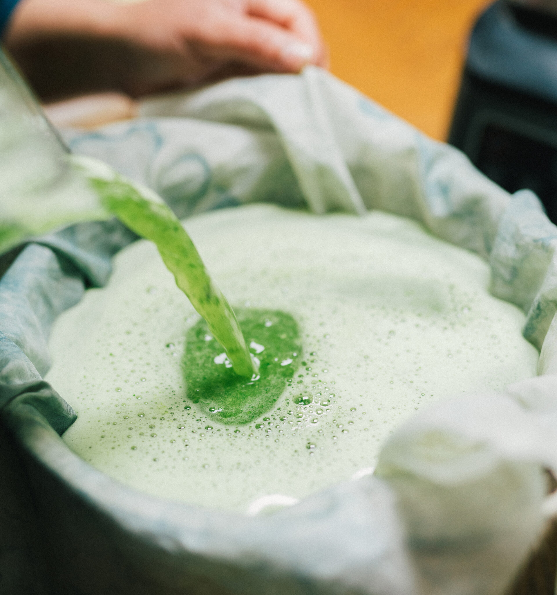How to use Indigo for Natural Textile Dyeing - T A L Ú