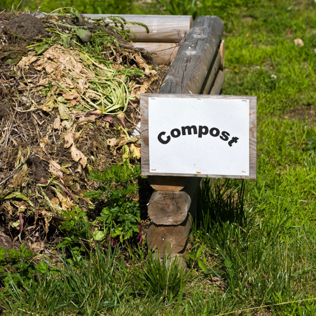 How to Compost Clothes in your Backyard - T A L Ú
