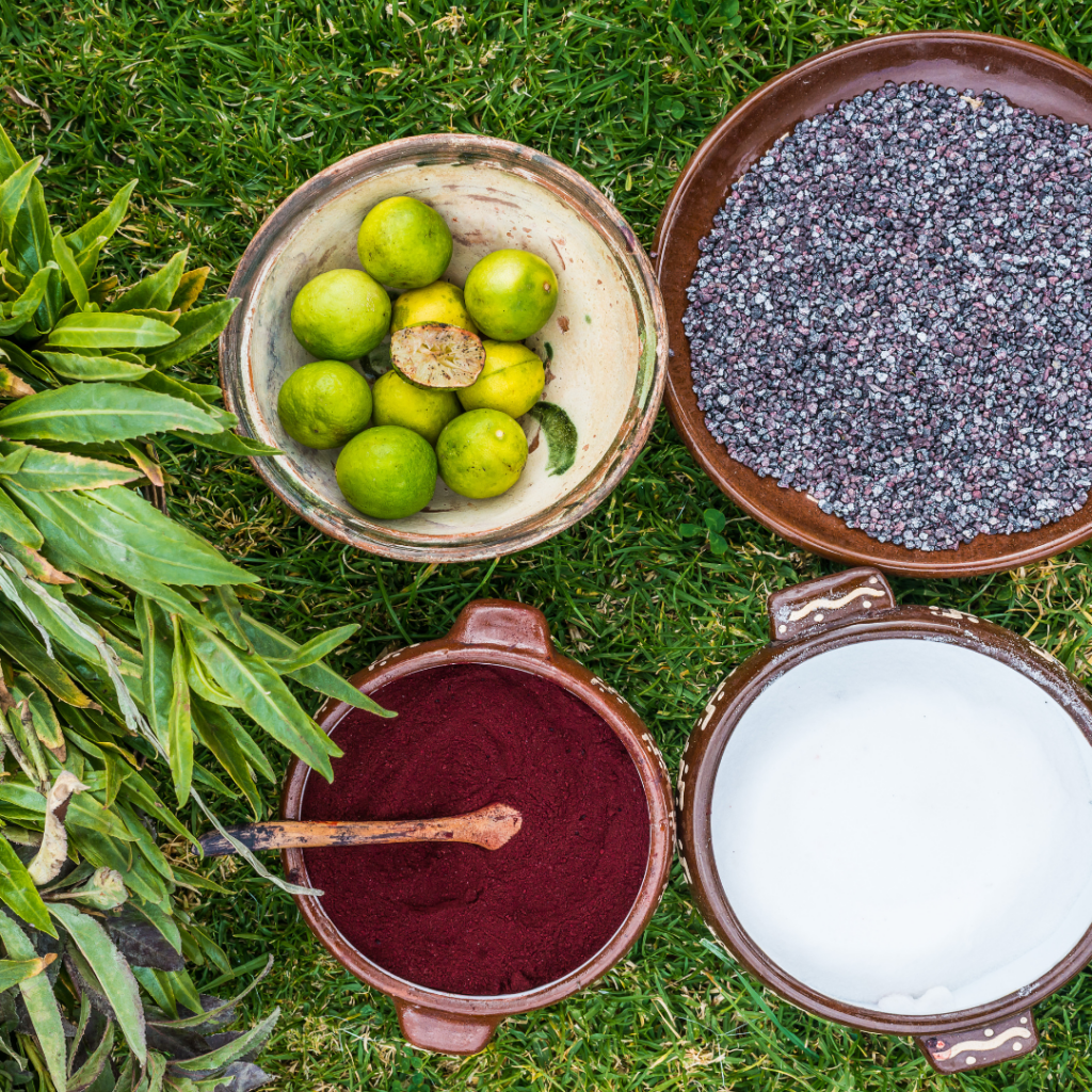 Dyeing with cochineal to make natural red dye - T A L Ú
