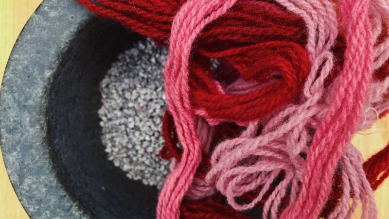 Dyeing with cochineal to make natural red dye - T A L Ú