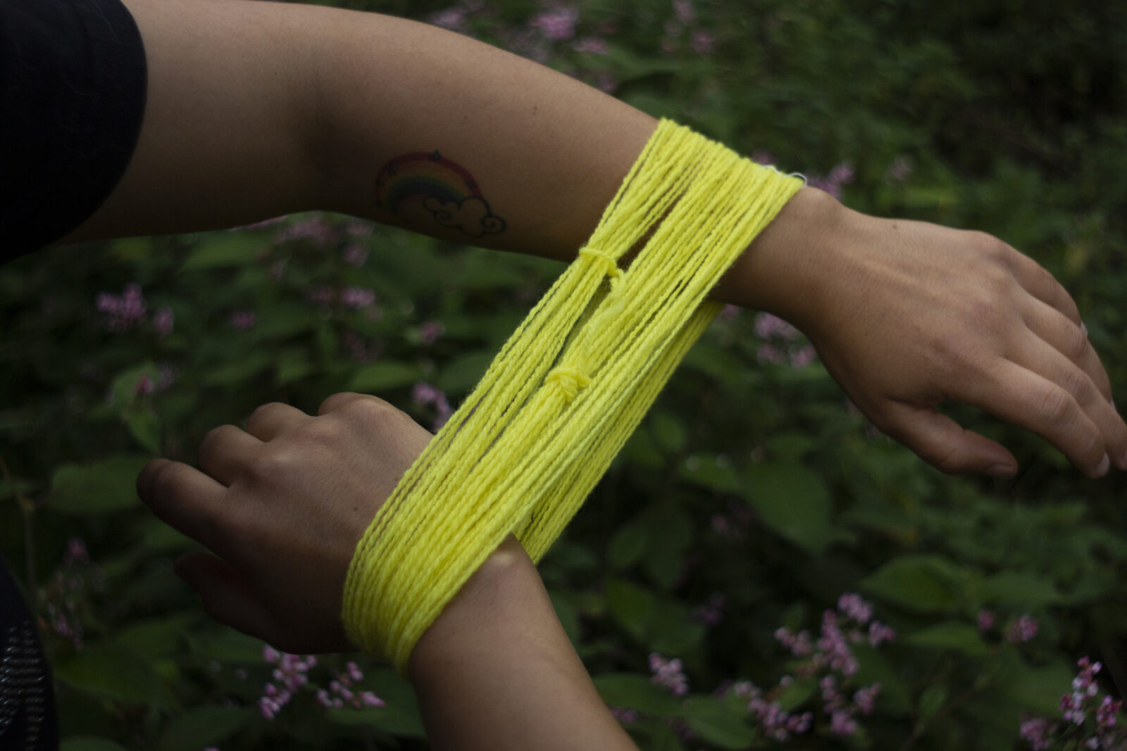 Your Guide to Dyeing with Weld plants - T A L Ú