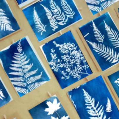Learn How to do Sun Printing and Solar dyeing - T A L Ú
